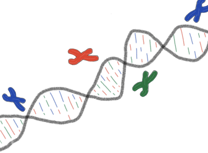 RPI Deficiency: Intricacies of Vitamins (Riboflavin) – pathoscribe